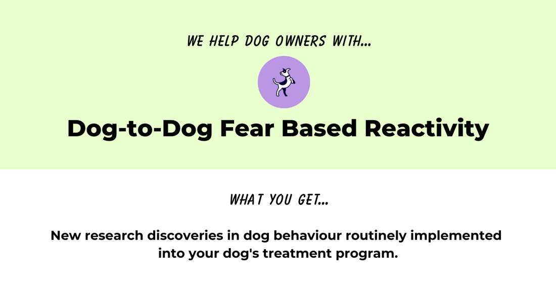 Active Creatures Dog Behaviour. Creating Calm & Confident Dogs.