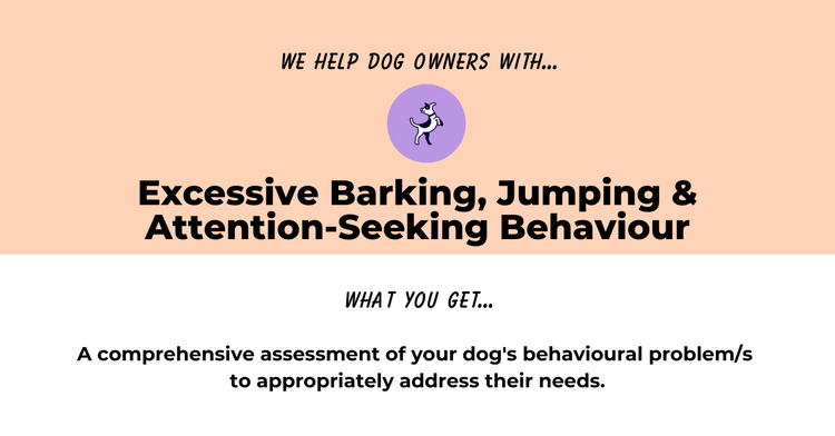 Active Creatures Dog Behaviour. Creating Calm & Confident Dogs.