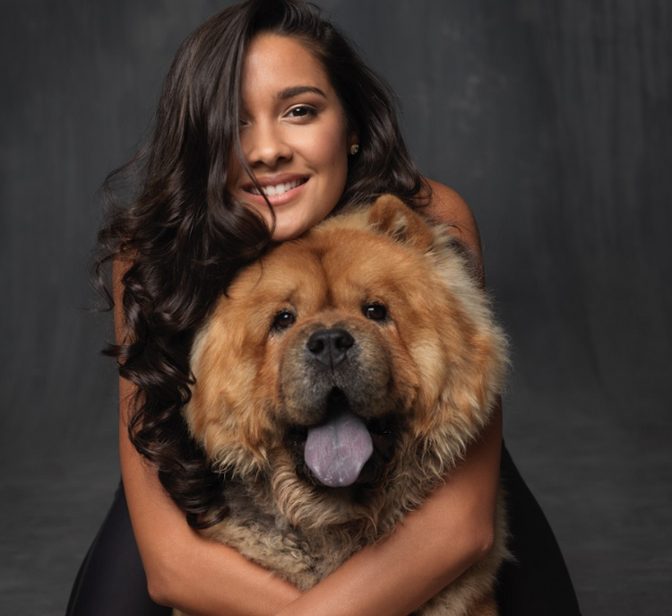 Active Creatures Dog Behaviour. Creating Calm & Confident Dogs.