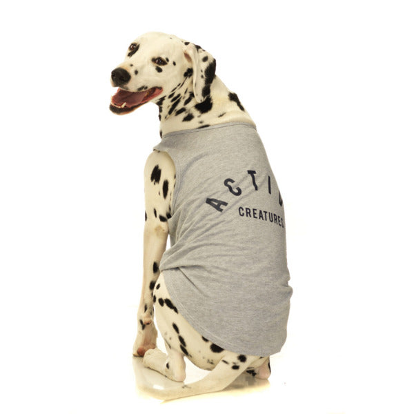 Active Creatures Dog Behaviour. Creating Calm & Confident Dogs.